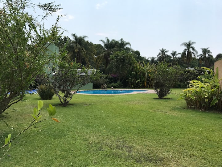 Orquidea 1 - Tepoztlán