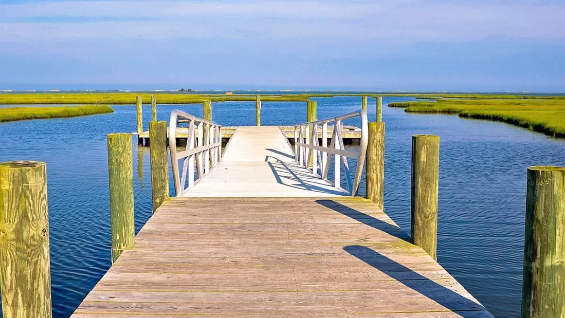 Assateague Island Vacation Rentals | House and Condo Rentals | Airbnb