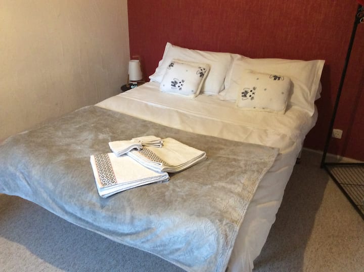 Chambre Chez L’habitant - Nancy