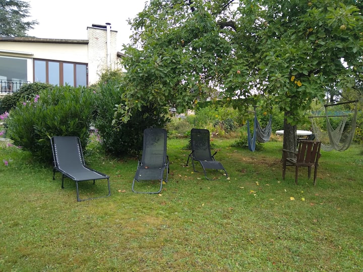 La Bergeronnette Avec La Chaleur Du Feu De Bois - Dinant
