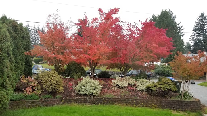 Private Comfy Single Room In Great Location - Kent, WA