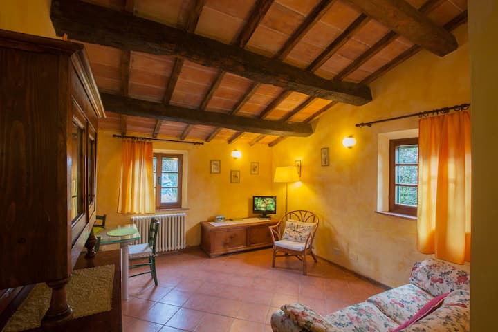 Appartamento Camomilla - Montepulciano