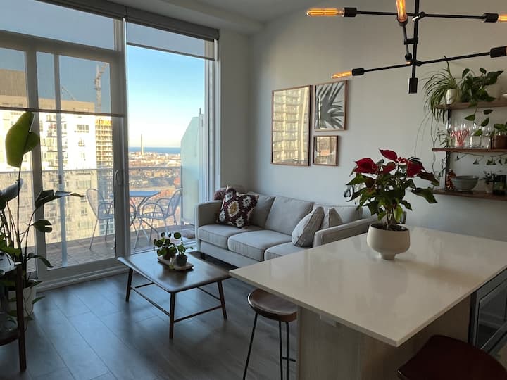 Bright New Condo • High Floor • Downtown Toronto - Toronto