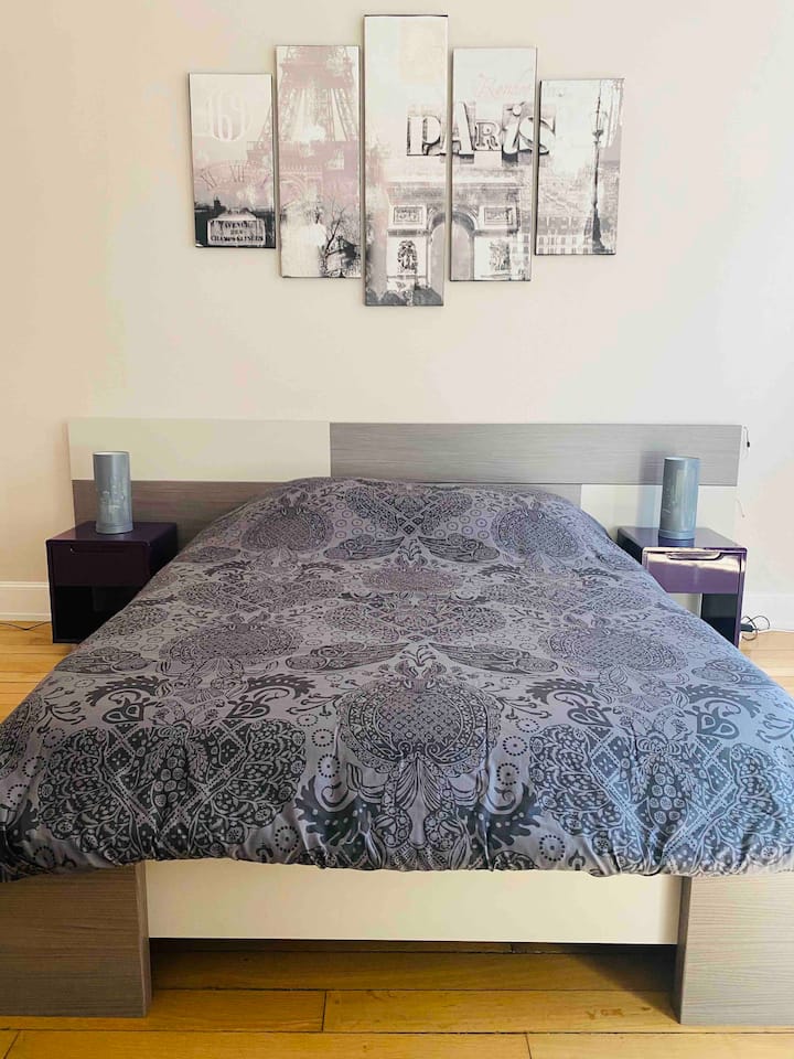 Chambre Cosy, Salle D’eau Privée, En Hyper Centre - Strasbourg
