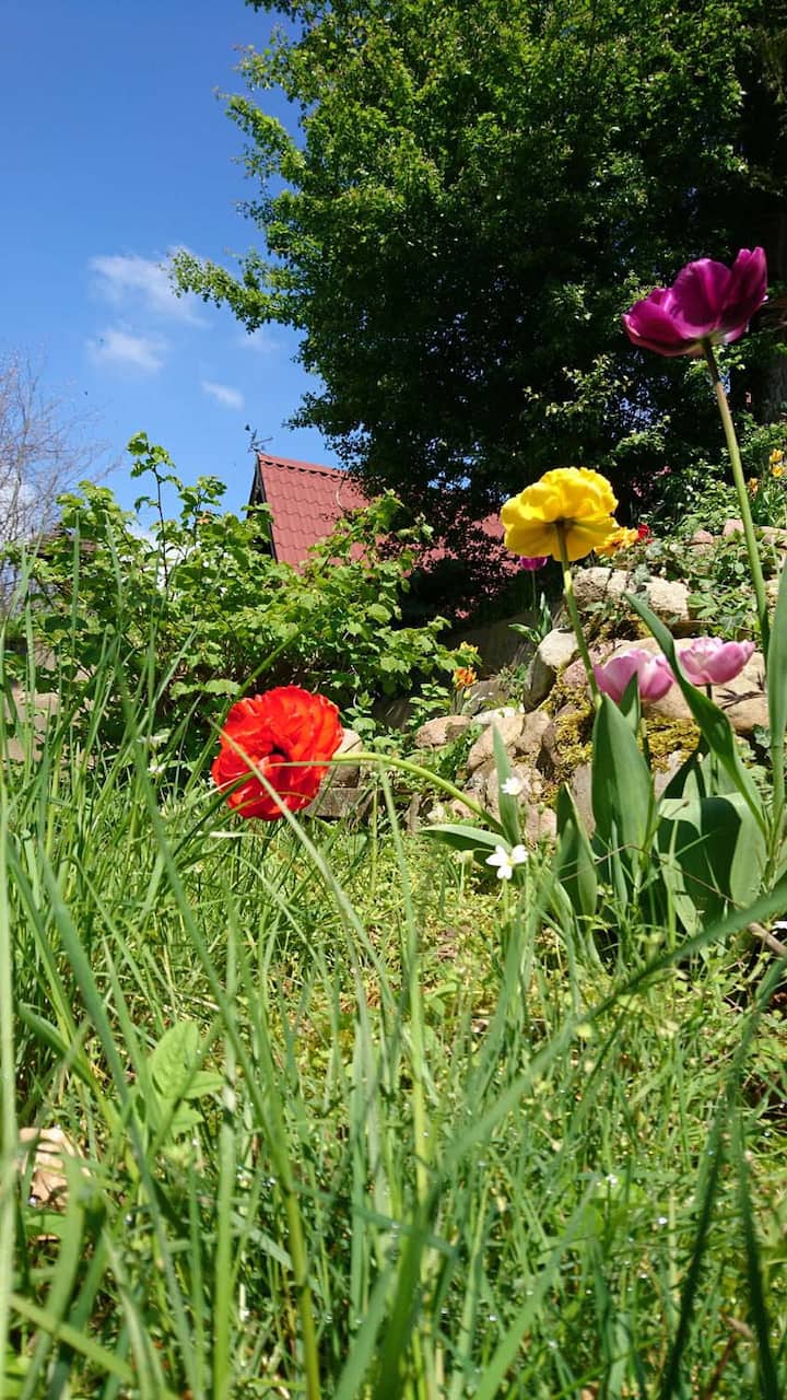 Das Honighaus – Gemütliches Ferienhaus - Bleckede