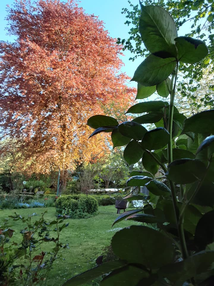 Ferienwohnung Gartenblick - Preetz