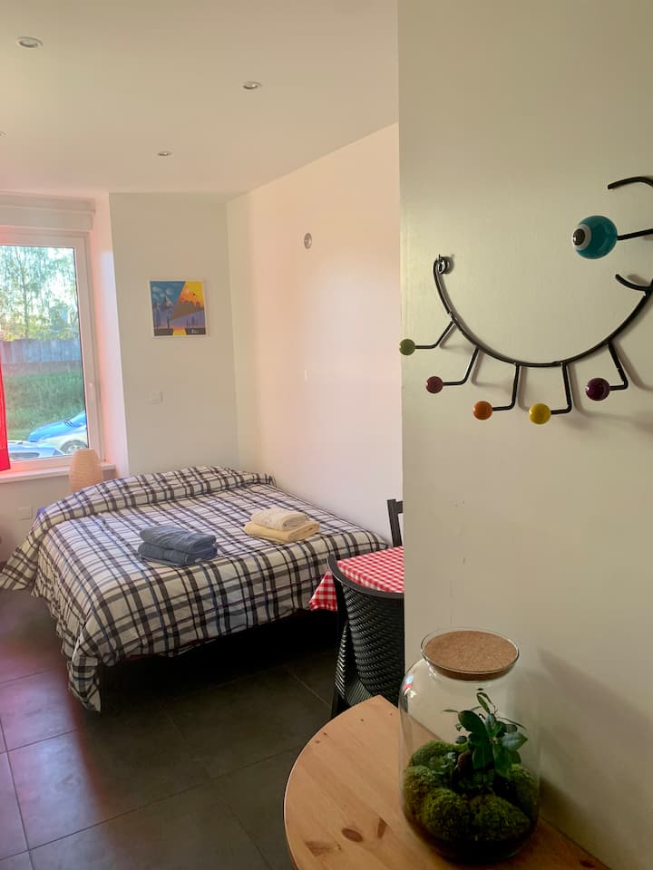 Chambre Privative Proche Strasbourg Centre - Strassburg