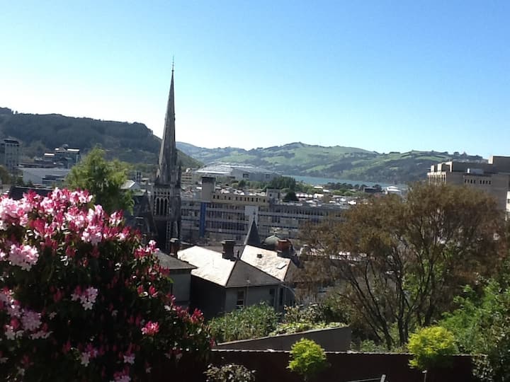 13 Elder St Flat B
Studio - Dunedin