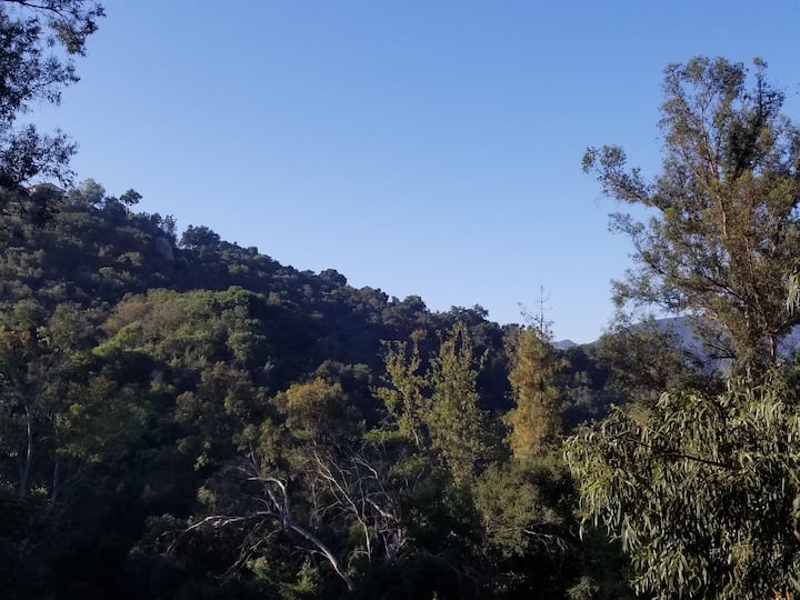 Old Topanga Canyon Hideaway In The Trees - Topanga, CA