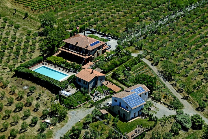 Delightful Casale, Infinity Pool, Organic Farm - Italia