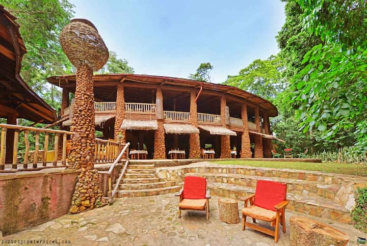 The Rainforest Lodge Mabira - Uganda