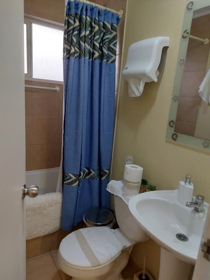 Full House, Casa En Chillán. - Chillán