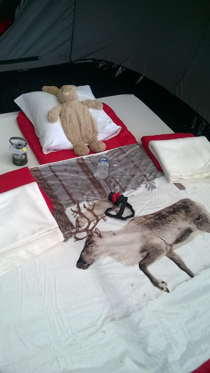 Dormir Au Coeur Du Brame. Expérience Pour 2 Pers. - Saint-Hubert