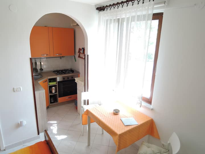 Margarita 1 - Portorož