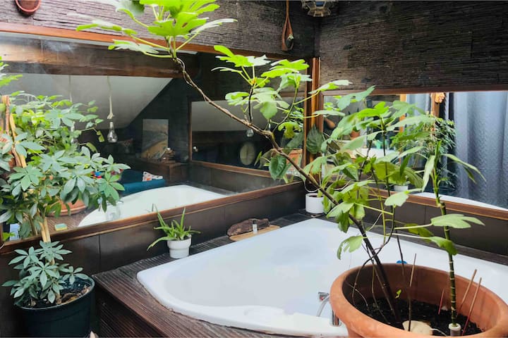 Nid Douillet à Cusset - Vaulx-en-Velin