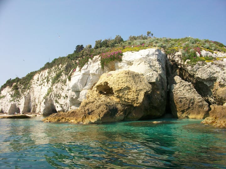 Casa Vista Mare Con Area Esterna - Elba