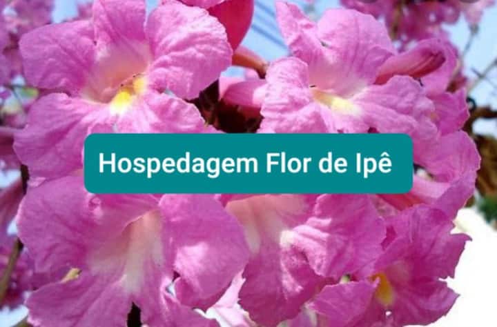 Hospedagem  Flor De Ipê - Paraty