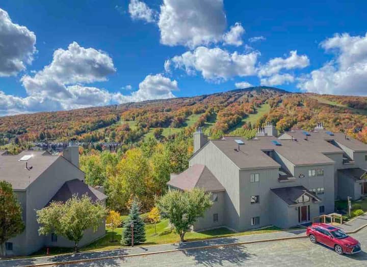 Gorgeous , Ski/ Mountain View 2 Bedroom, 2 Bath - Mount Snow, VT