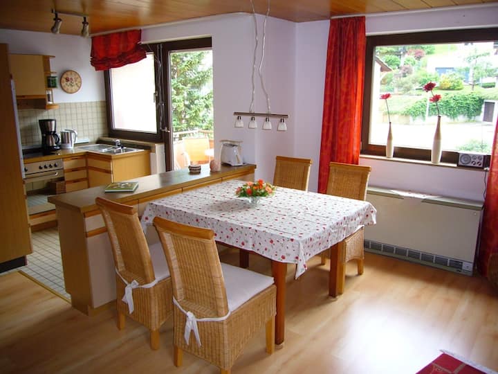 Ferienwohnung, 2 Balkone, Kostenfreier Parkplatz - Tübingen