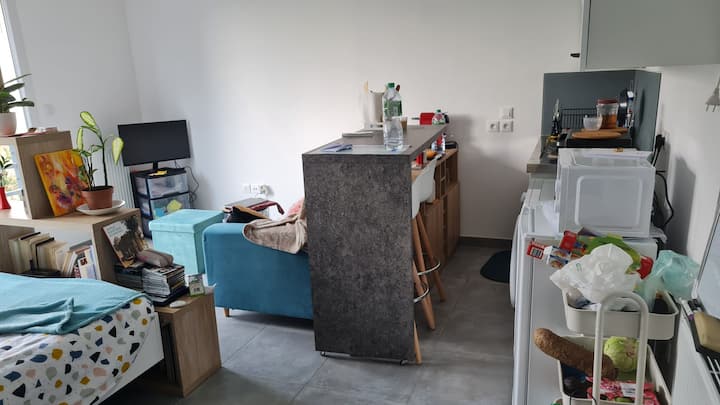 Studio Lumineux à Noisy-le-grand - Marne-la-Vallée