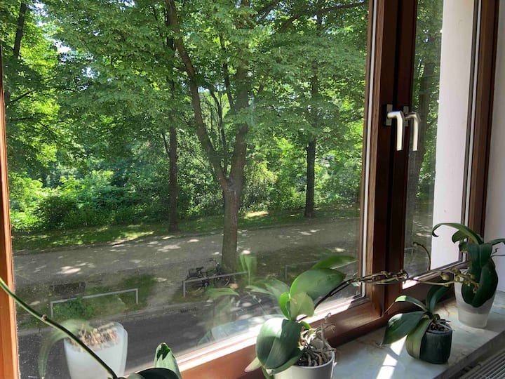 Schöne Zentral Gelegene Wohnung Ideal Für Kinder - Hannover