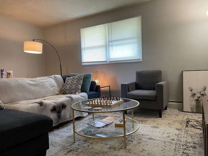 Modern 2-bedroom Apt Close To Downtown & Highway - Binghamton, NY