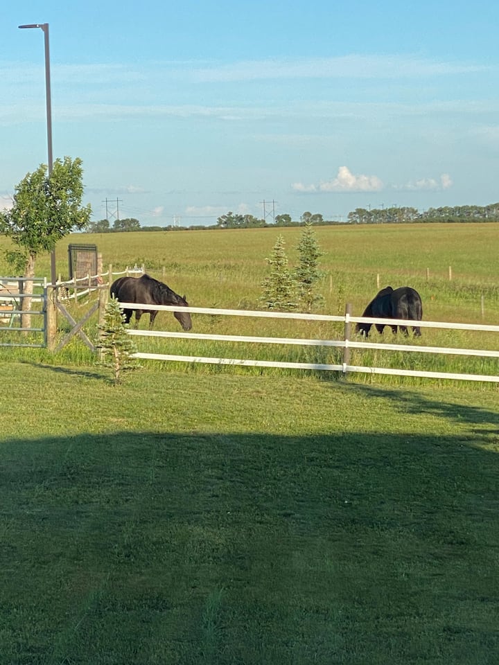 10 Best Ranches To Stay In Canada - Updated 2024 | Trip101