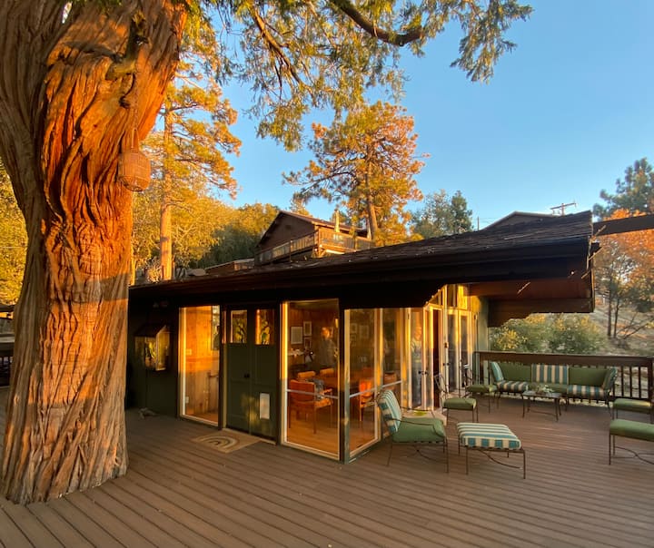Sunset64 Mid-century Modern Cabin - Idyllwild-Pine Cove, CA