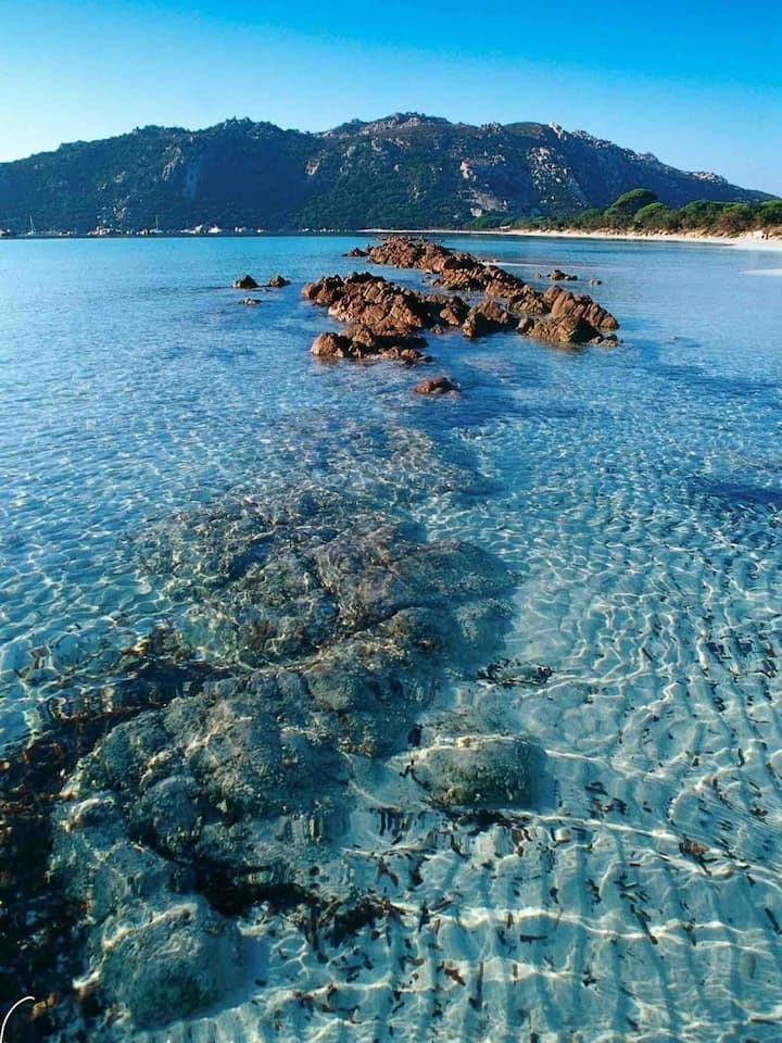 U Palazzu San Martinu,superbe Loft Duplex&nbsp;«Cagna» - Plage de Palombaggia