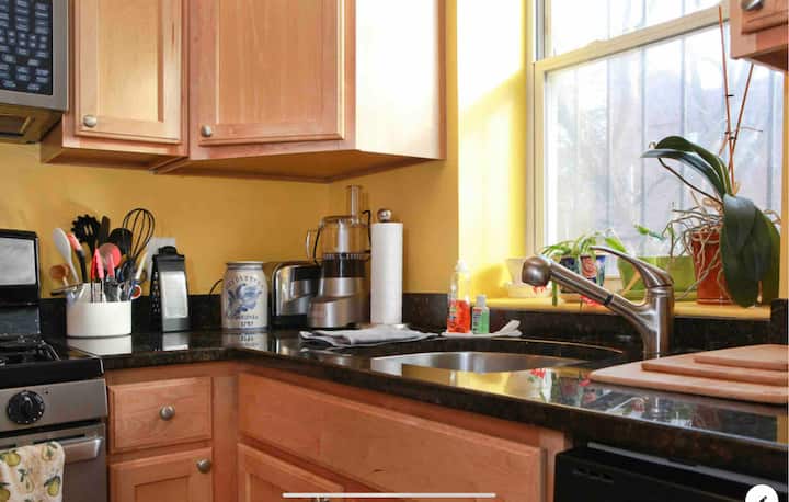 Lovely Luxury Home 3br Sleeps 10, Many Amenities - Silver Spring, MD