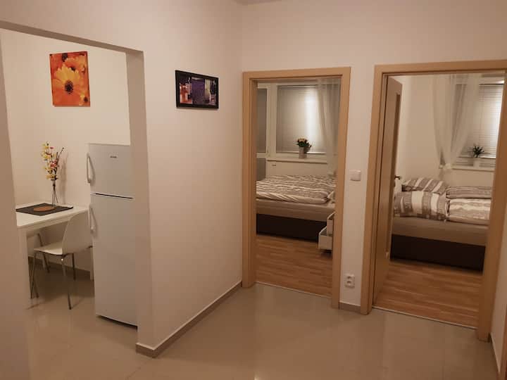 Newly Built Apartment 5 With Balcony Near Center - 브르노