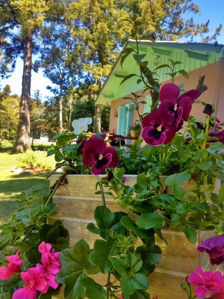 Haus Berg - São Francisco de Paula