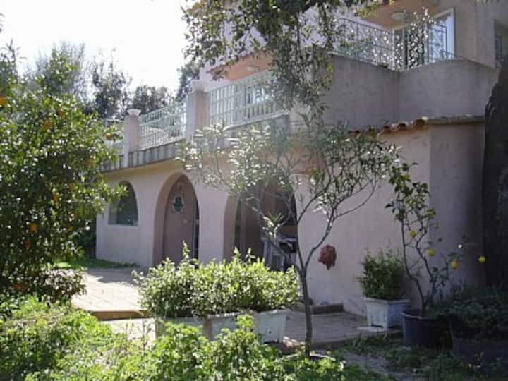 Joli Appartement Au Calme Proche Des Plages - Santa Giulia