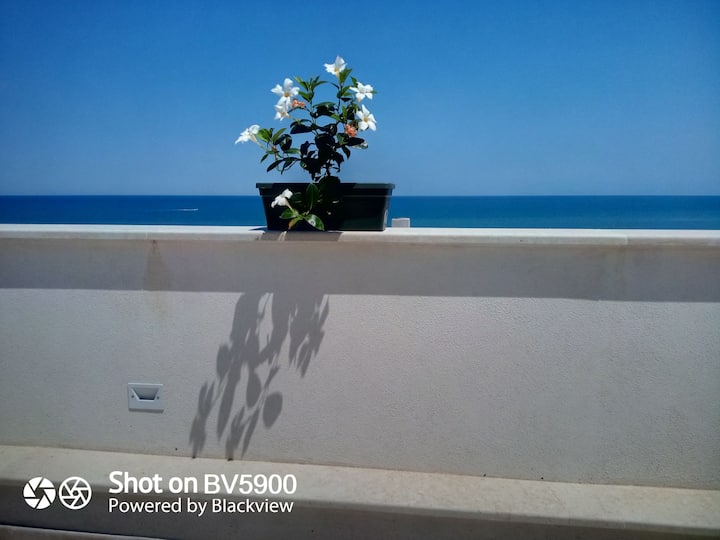 Terrazza Grecale - Rodi Garganico
