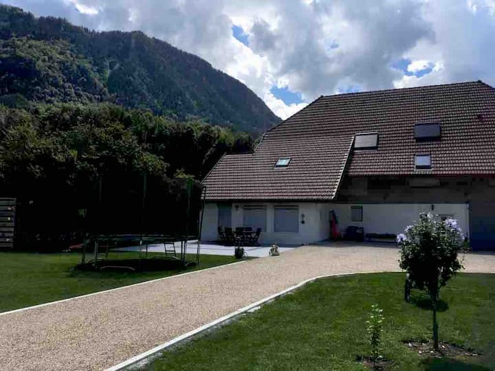 Ancienne Ferme Moderne Et Familiale - Bonneville