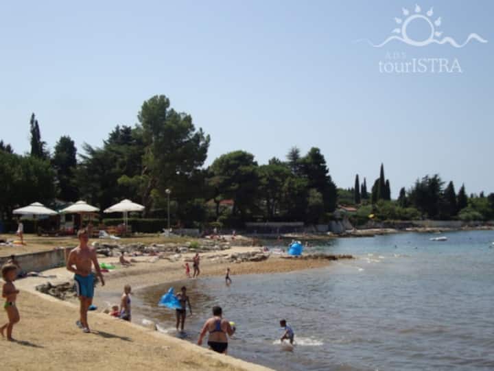 App Katerina With A Sea View ( B) - Novigrad