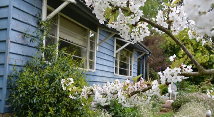 The Blue Cottage - Flinders