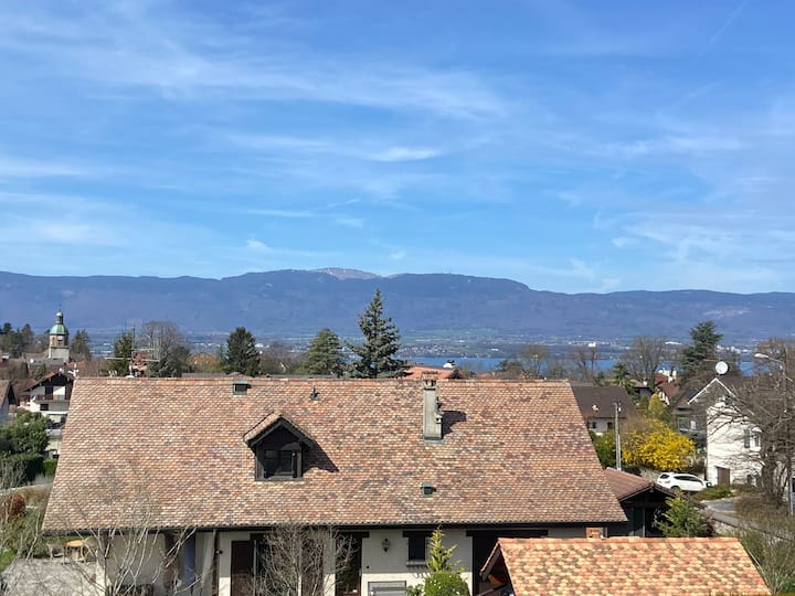 Appartement Cosy, Vue Sur Le Lac Léman - Douvaine