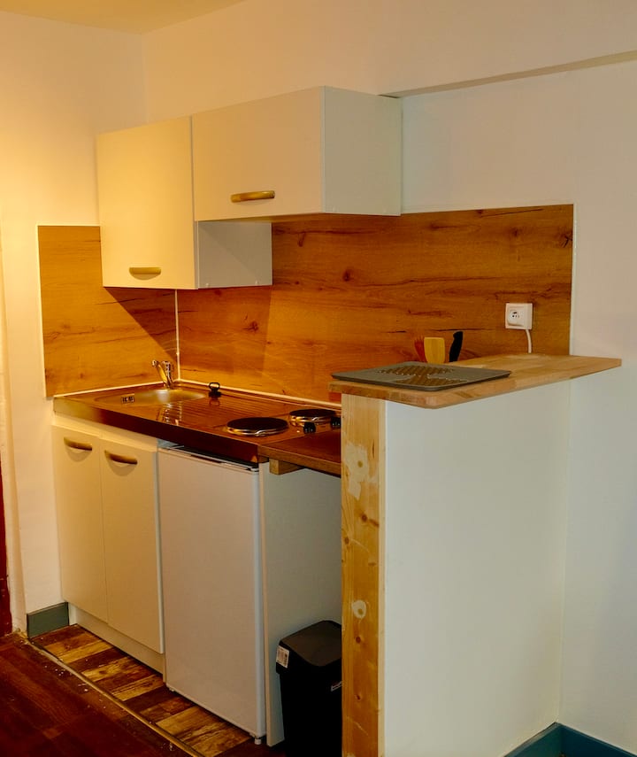 Studio De Montagne Familiale - Allemont