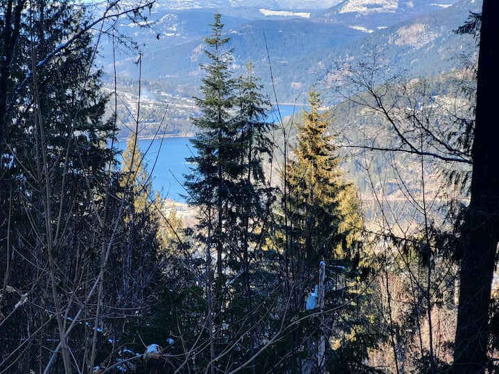 Weekly / Monthly Cozy Kootenay Cabin - Nelson