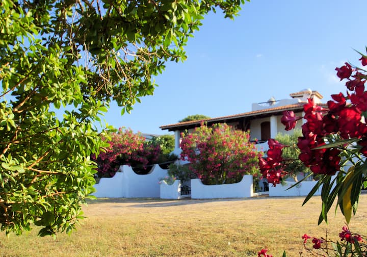 Appartement Carlotta - Valledoria