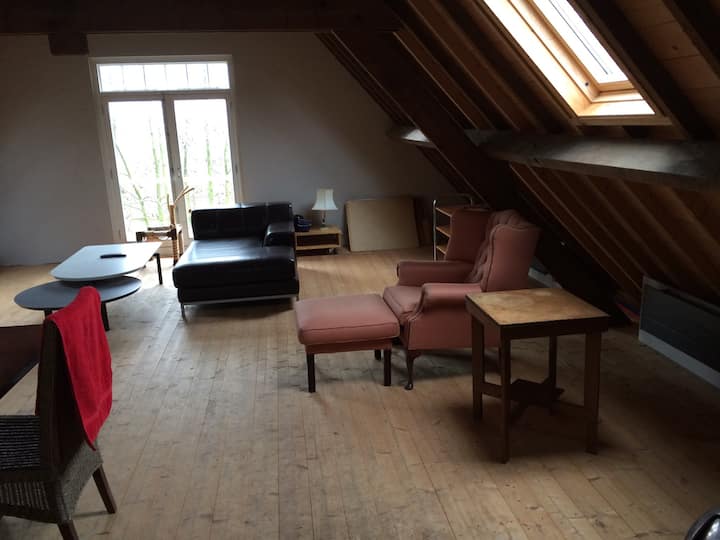 Large Spacious Farm/loft -Apartment - Delft
