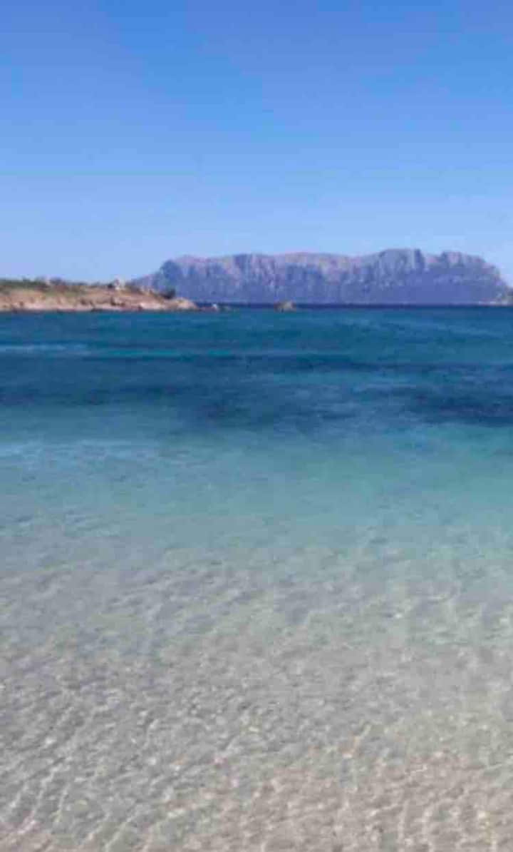 La Casa Di Ilary - Olbia