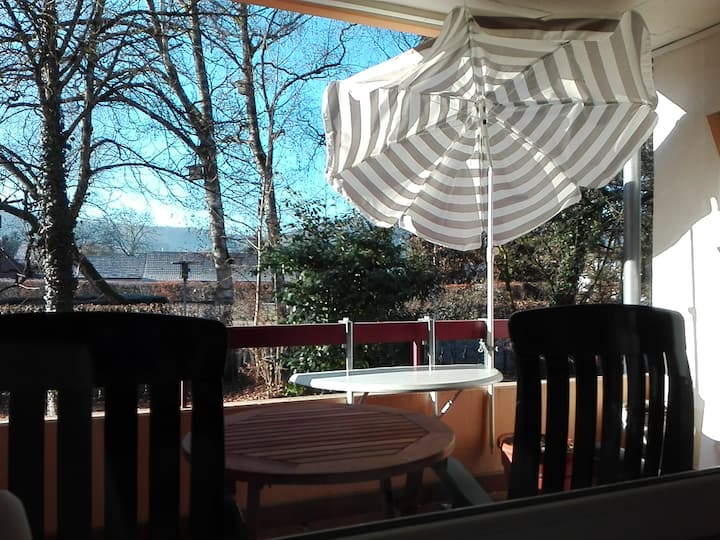 Comfortable 1-room Apartment At The Swiss Border - Hohentengen am Hochrhein