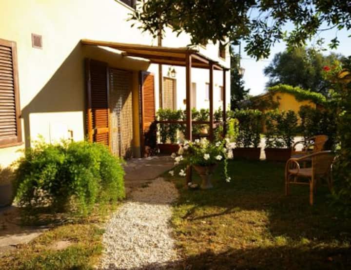 Alloro - Rosignano Marittimo