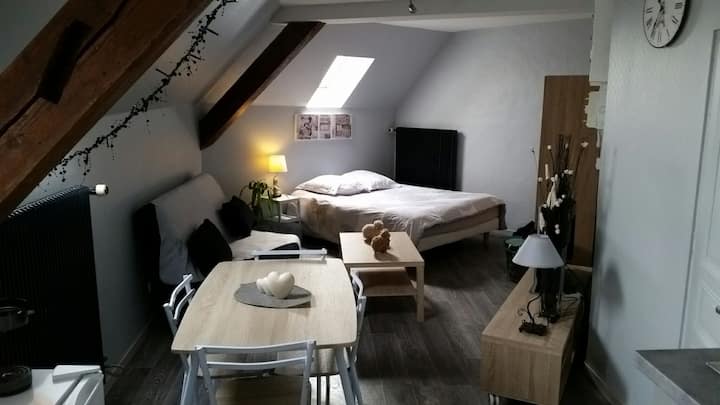 Charmant Gîte Avec Vue Sur Le Vignoble Alsacien - Ribeauvillé