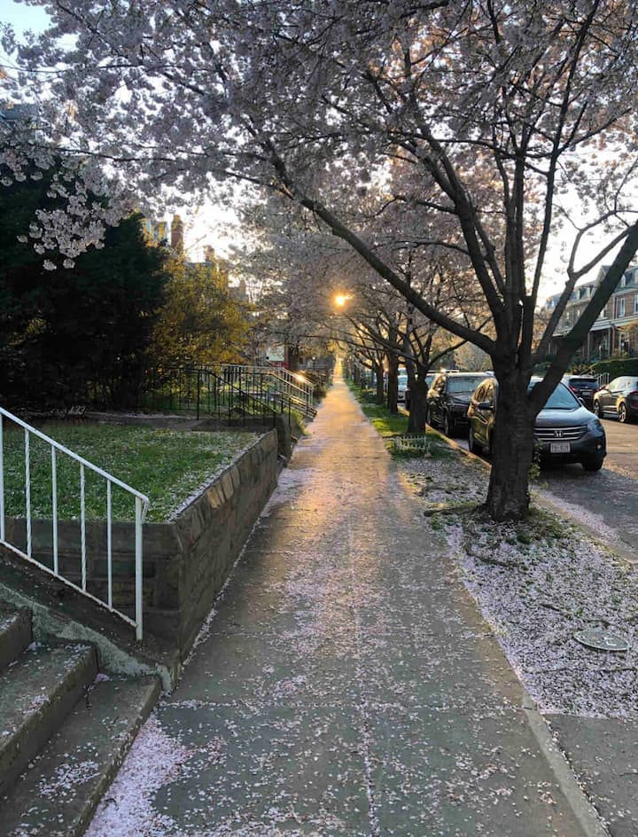 1 Bedroom Basement Unit, Private Entry & Parking - Edgewood, Washington DC