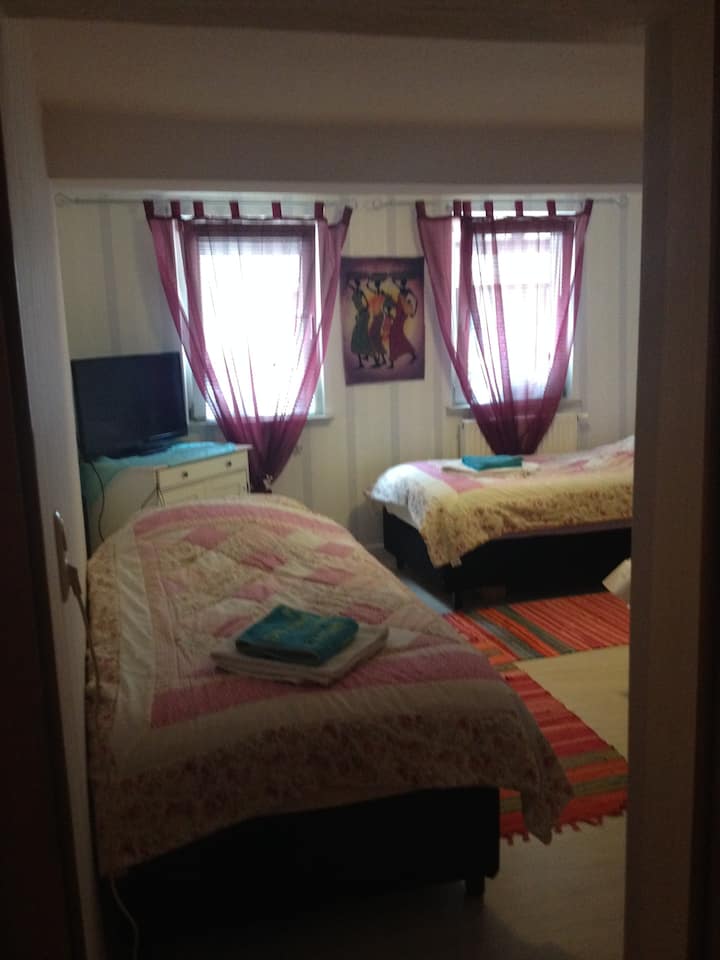 Very Nice Clean Guest Room 34 Km From Frankfurt - Seligenstadt