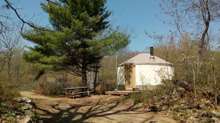 10 Best Yurts In Canada For A Spectacular Glamping | Trip101