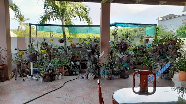 1 Bedroom Apartment, Kitchen - Aruba